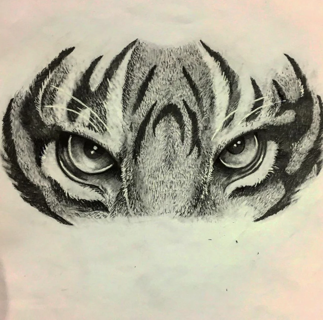 Stalker,me,pencil,2016 | Scrolller