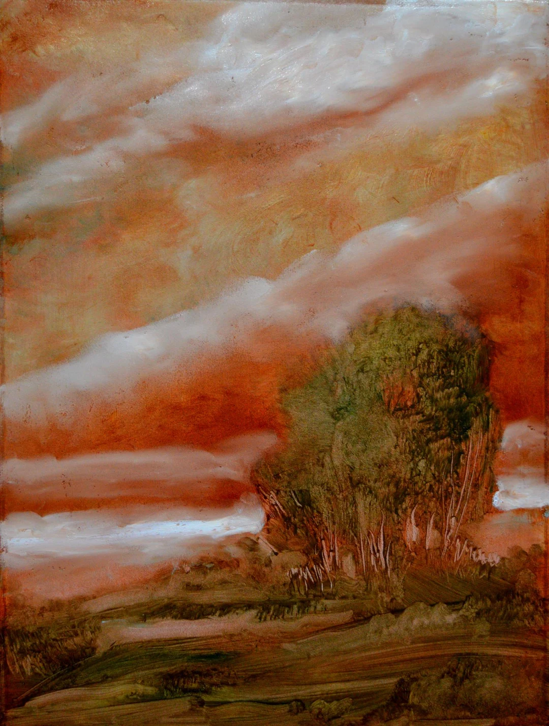 Tabby, Proper_Syrup_4122, Oils, 2023 | Scrolller