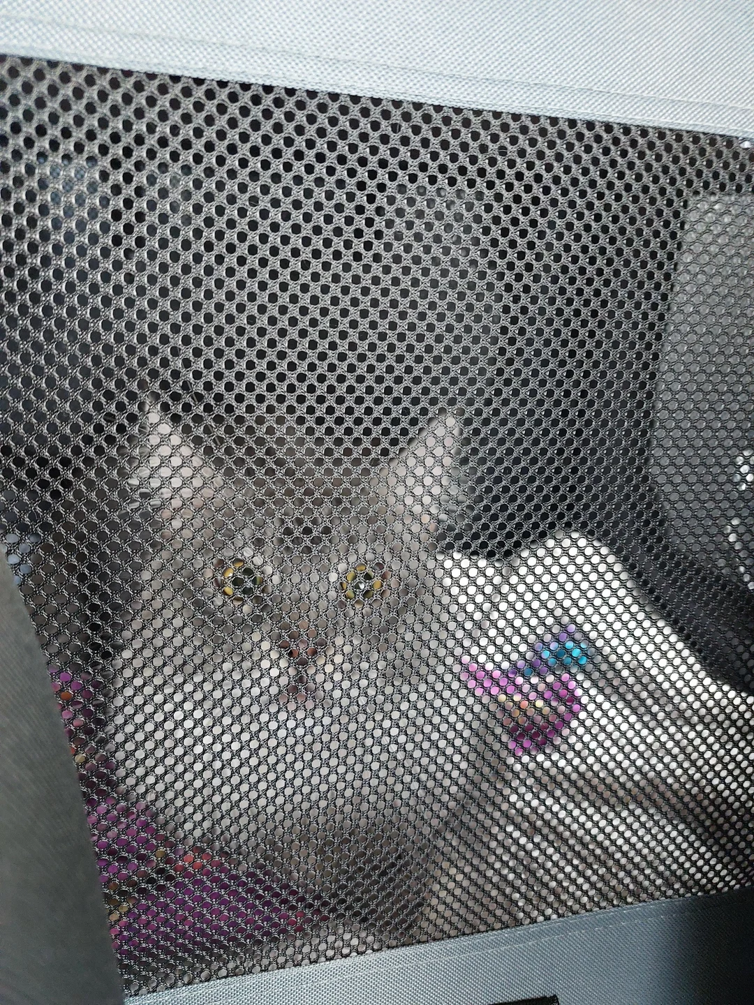 When you realise you just got adopted | Scrolller