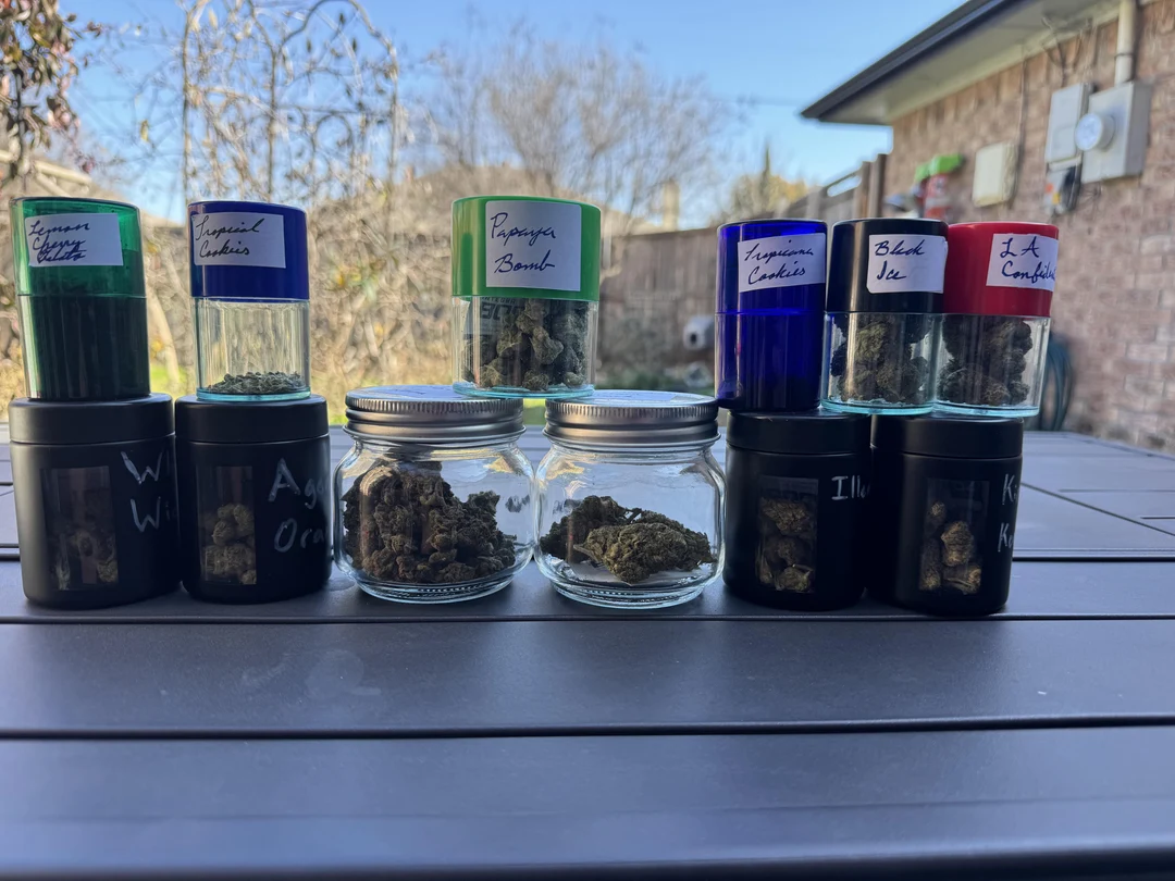 State of the Stash | Scrolller