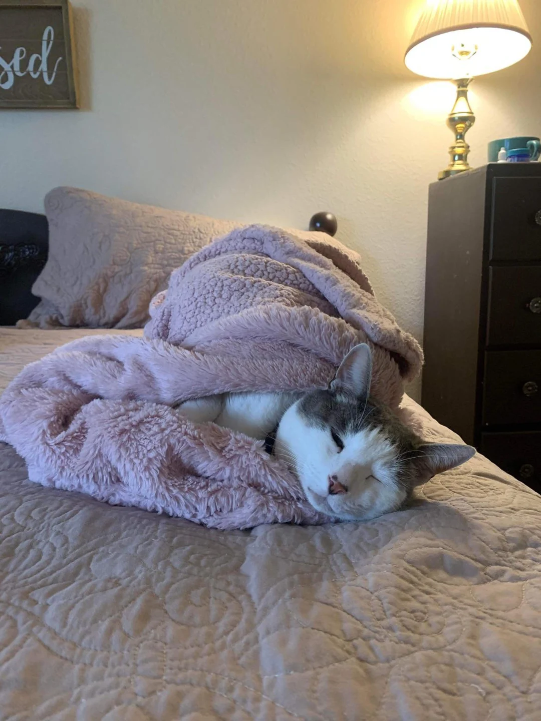 Bundled up for the storm | Scrolller