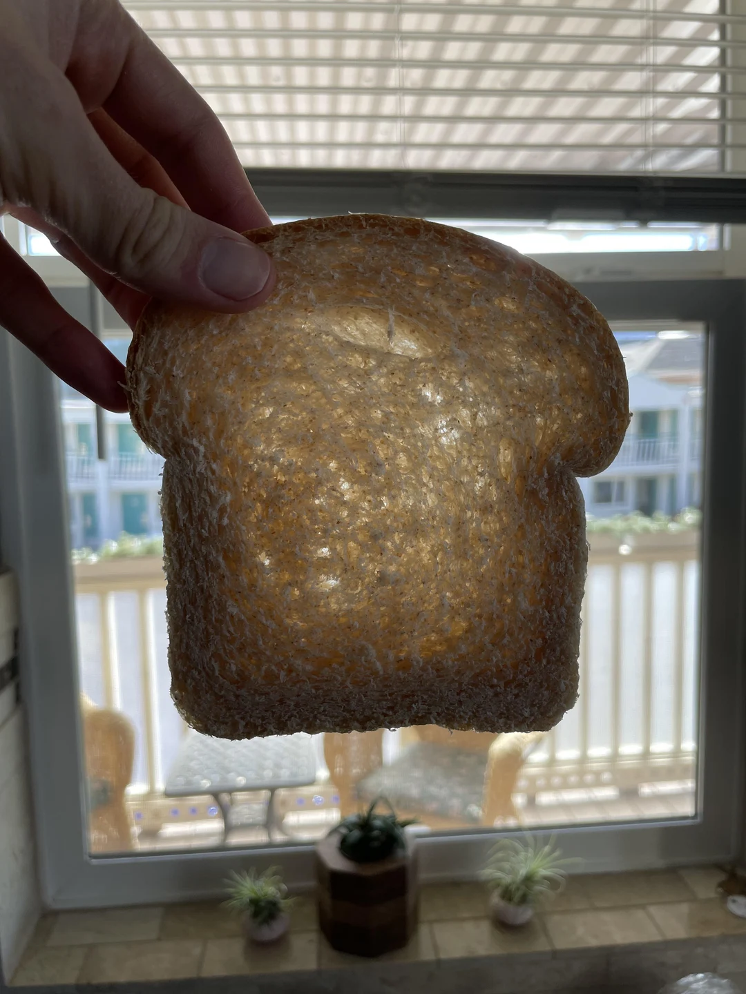 What is wrong with my bread? | Scrolller