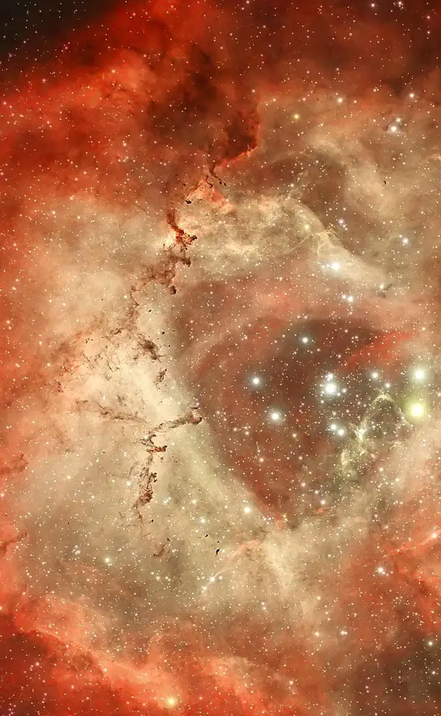 Dust clouds in the Rosette Nebula - NGC2244[OC] | Scrolller