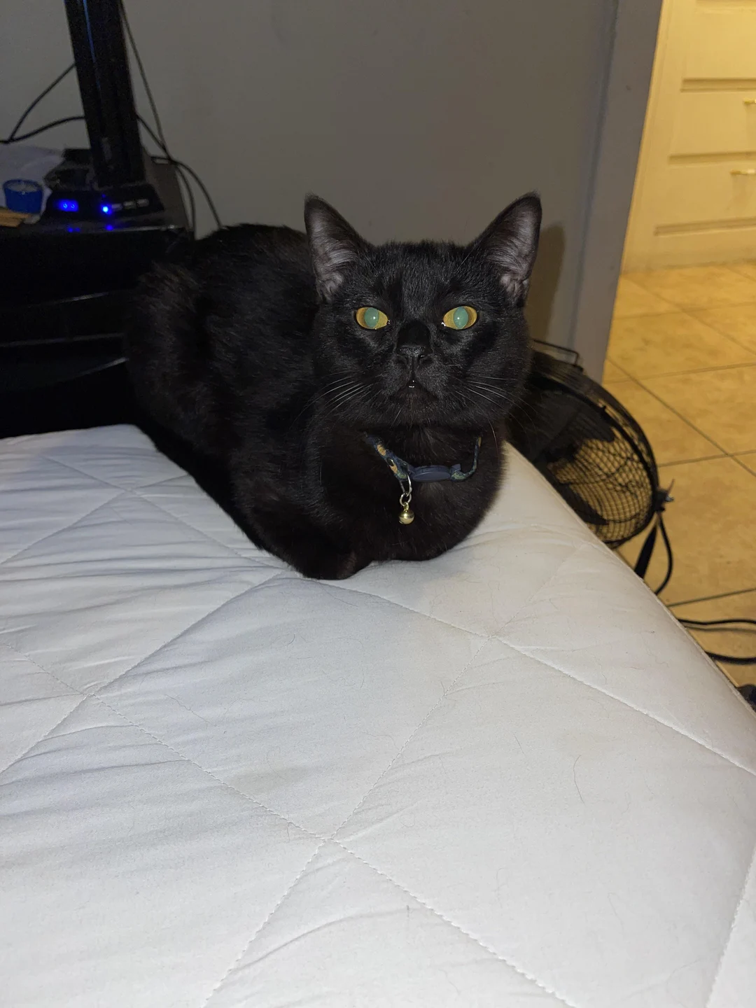 Spooky loaf | Scrolller