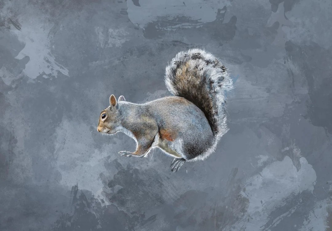 Nuts, Me, Procreate, 2022 | Scrolller