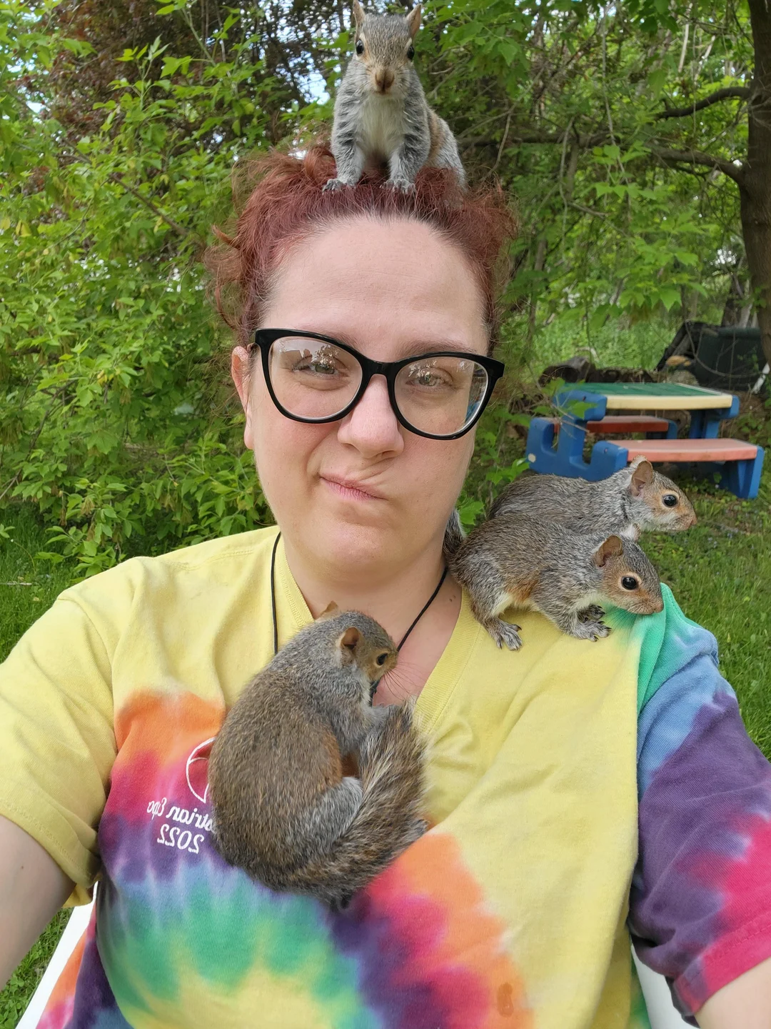 Squirrels | Scrolller