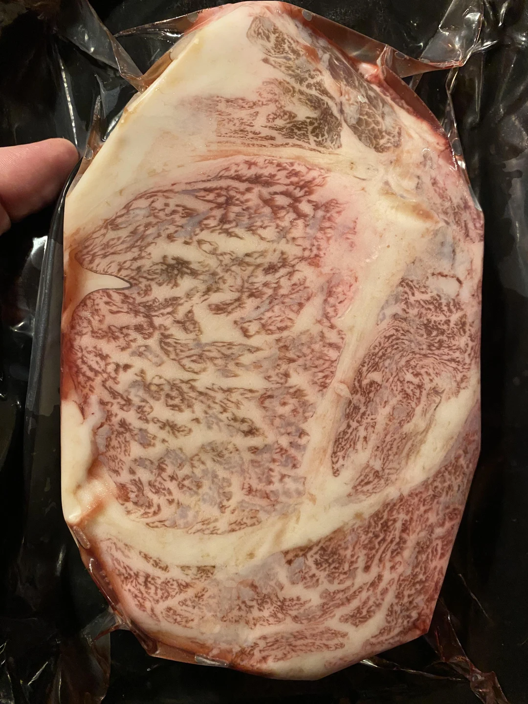 Cooking This Japanese A5 Shinshu Wagyu Tonight | Scrolller