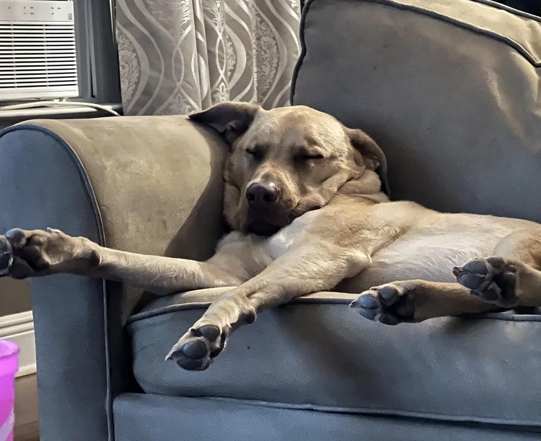 When the humidity starts setting in | Scrolller