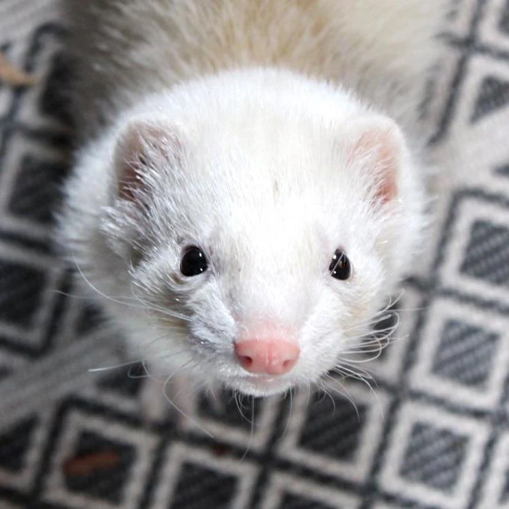 Theo asking me to pick him up. 🥰 | Scrolller