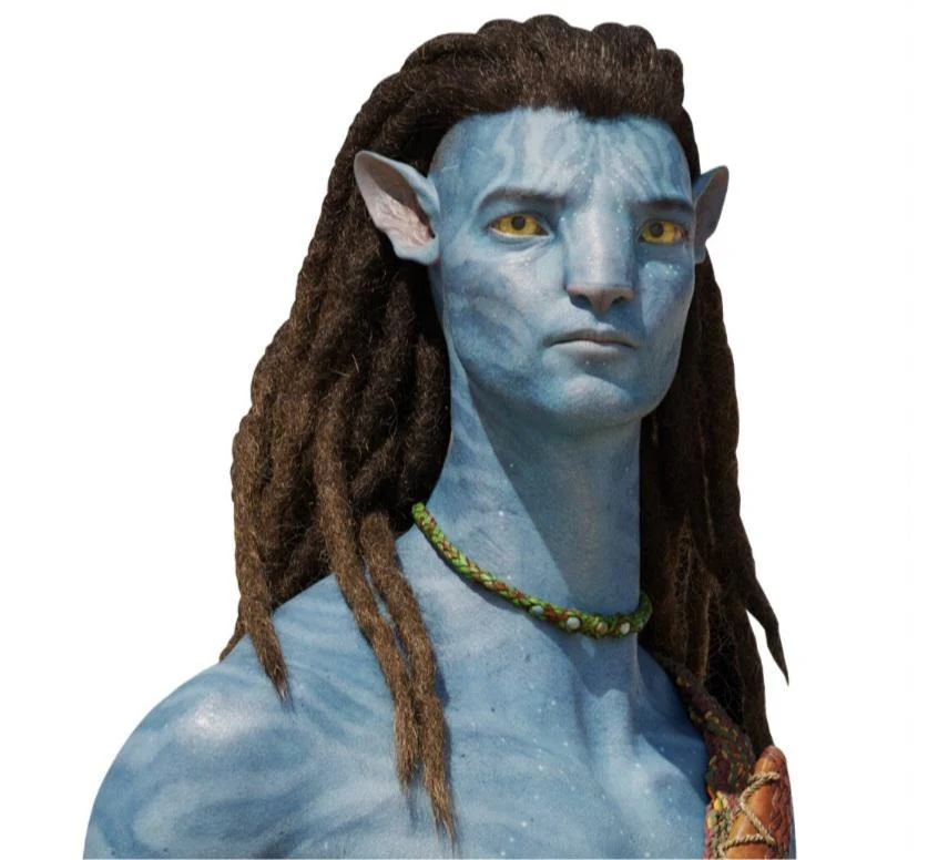 So today i learned that Jake's full name is Jacob sully | Scrolller