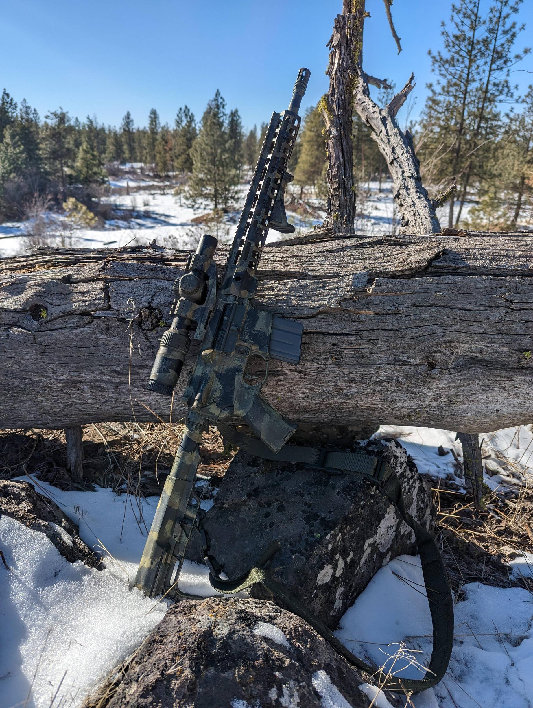 In it's natural environment | Scrolller