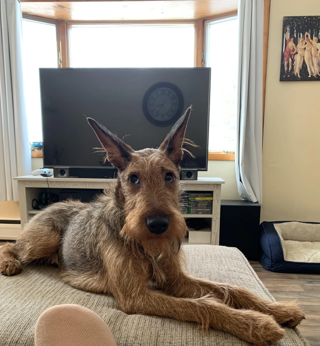 She pleads the fifth. | Scrolller