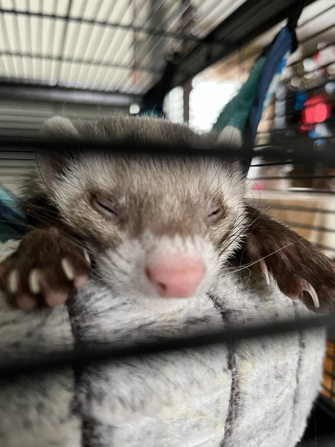 Super Ron | Scrolller