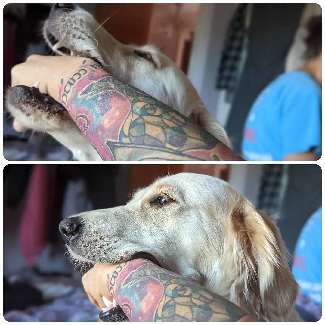 Callie the Monster Munch | Scrolller