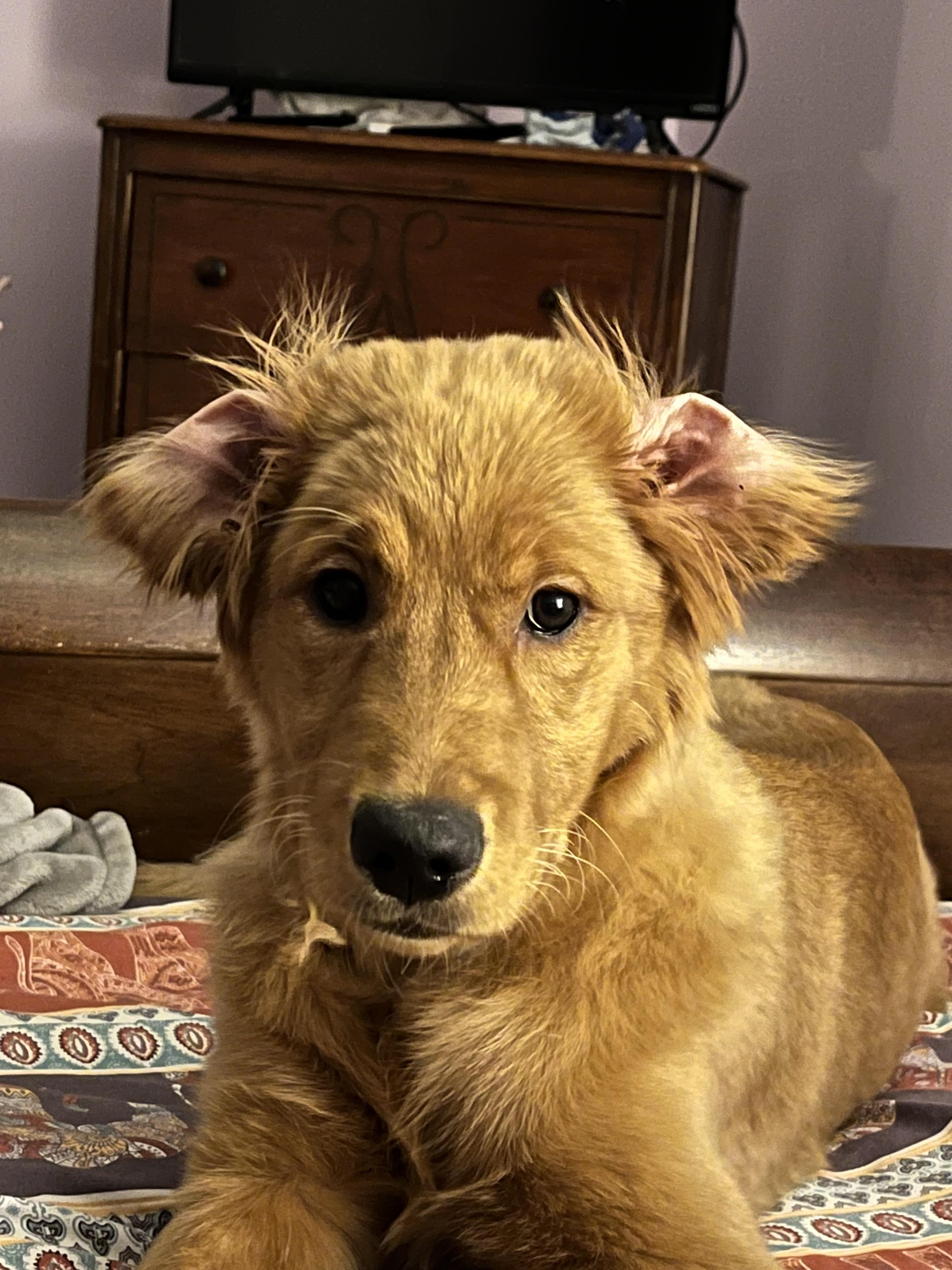 My girl is a weirdo | Scrolller