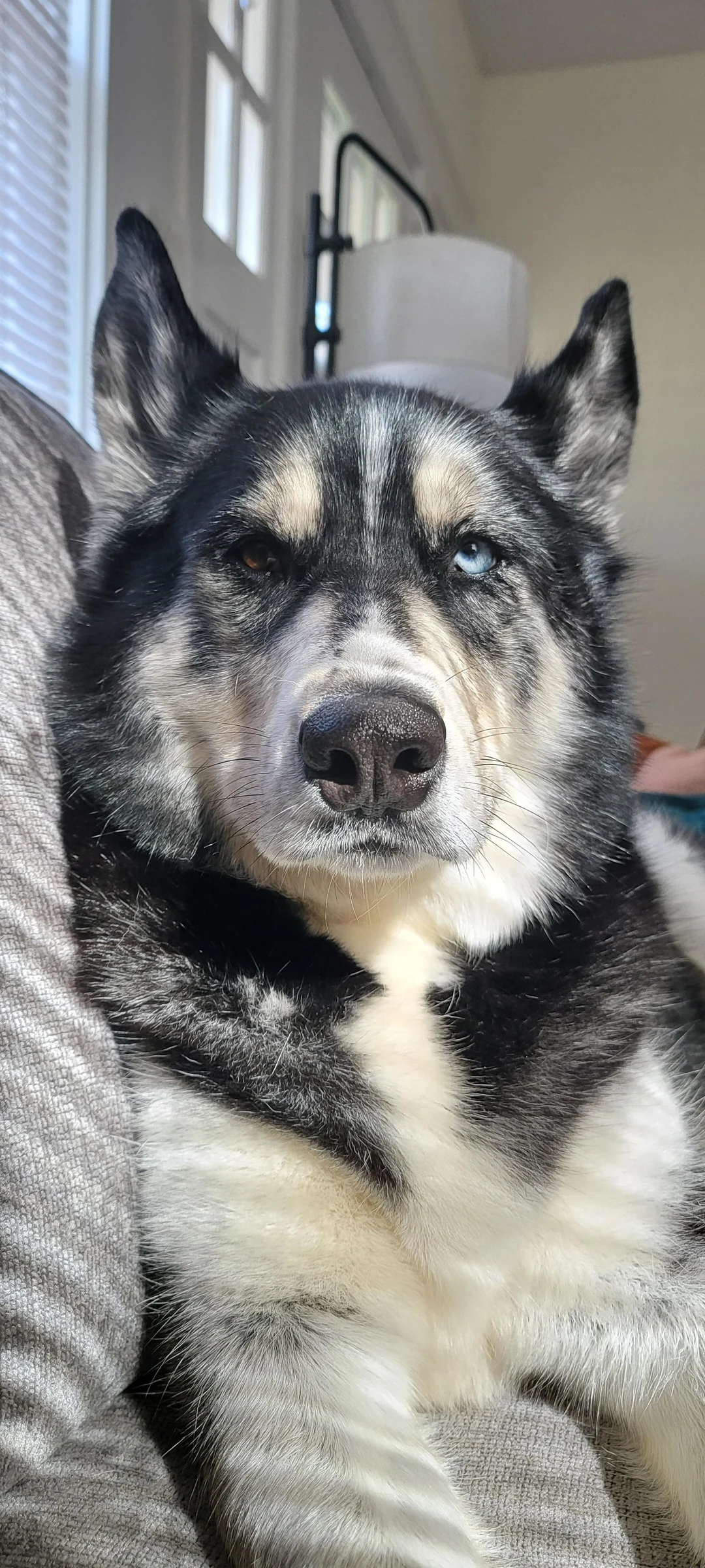 Big guy is always so serious | Scrolller