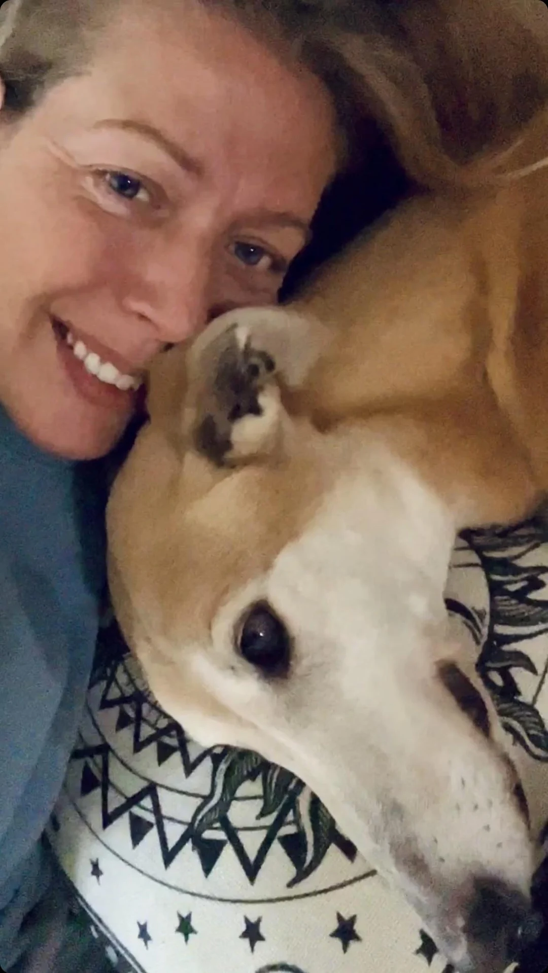 Happy Gotcha Day my Pheebs! 🧡 | Scrolller