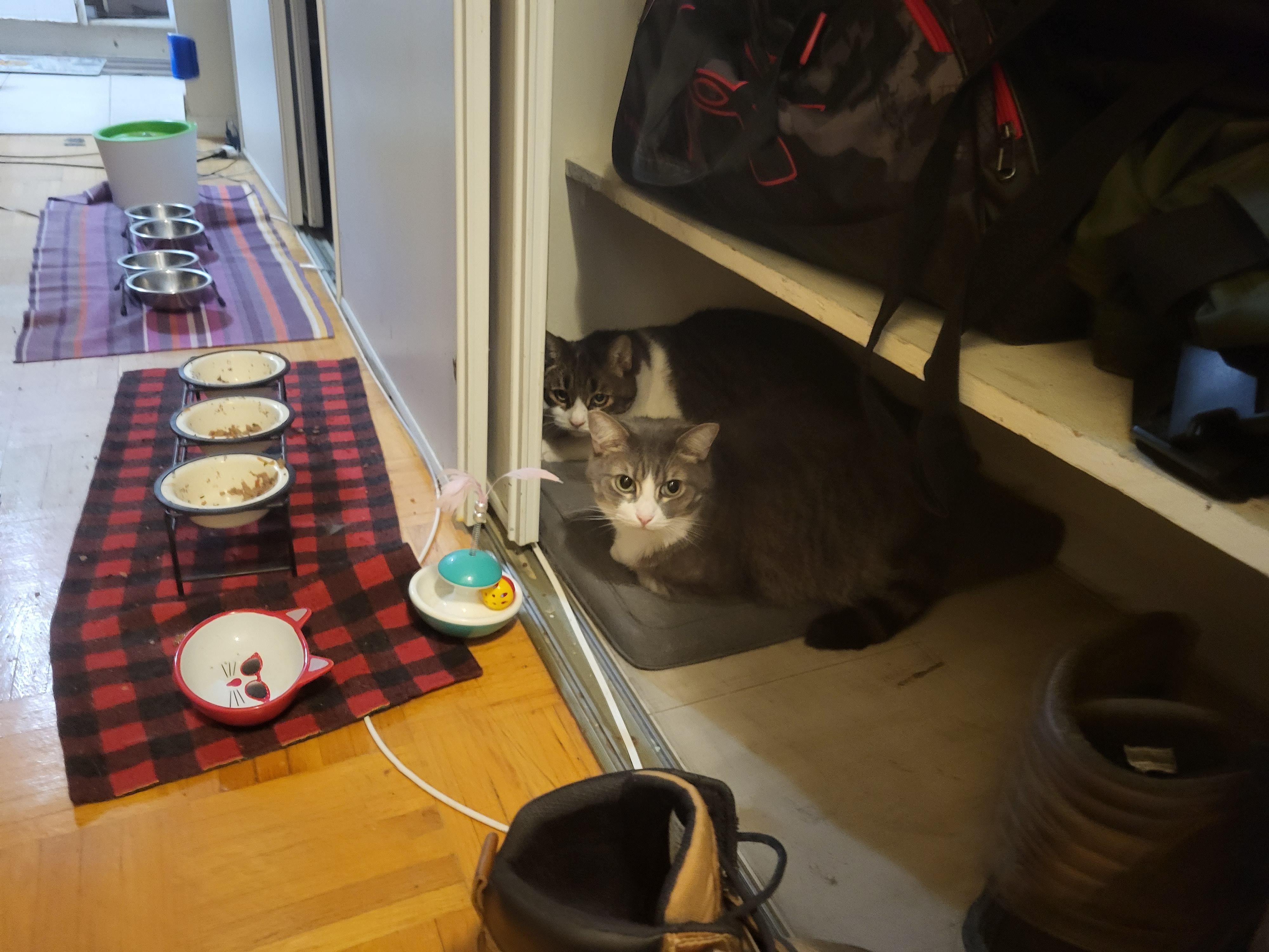 Caught these two cuddling today. | Scrolller