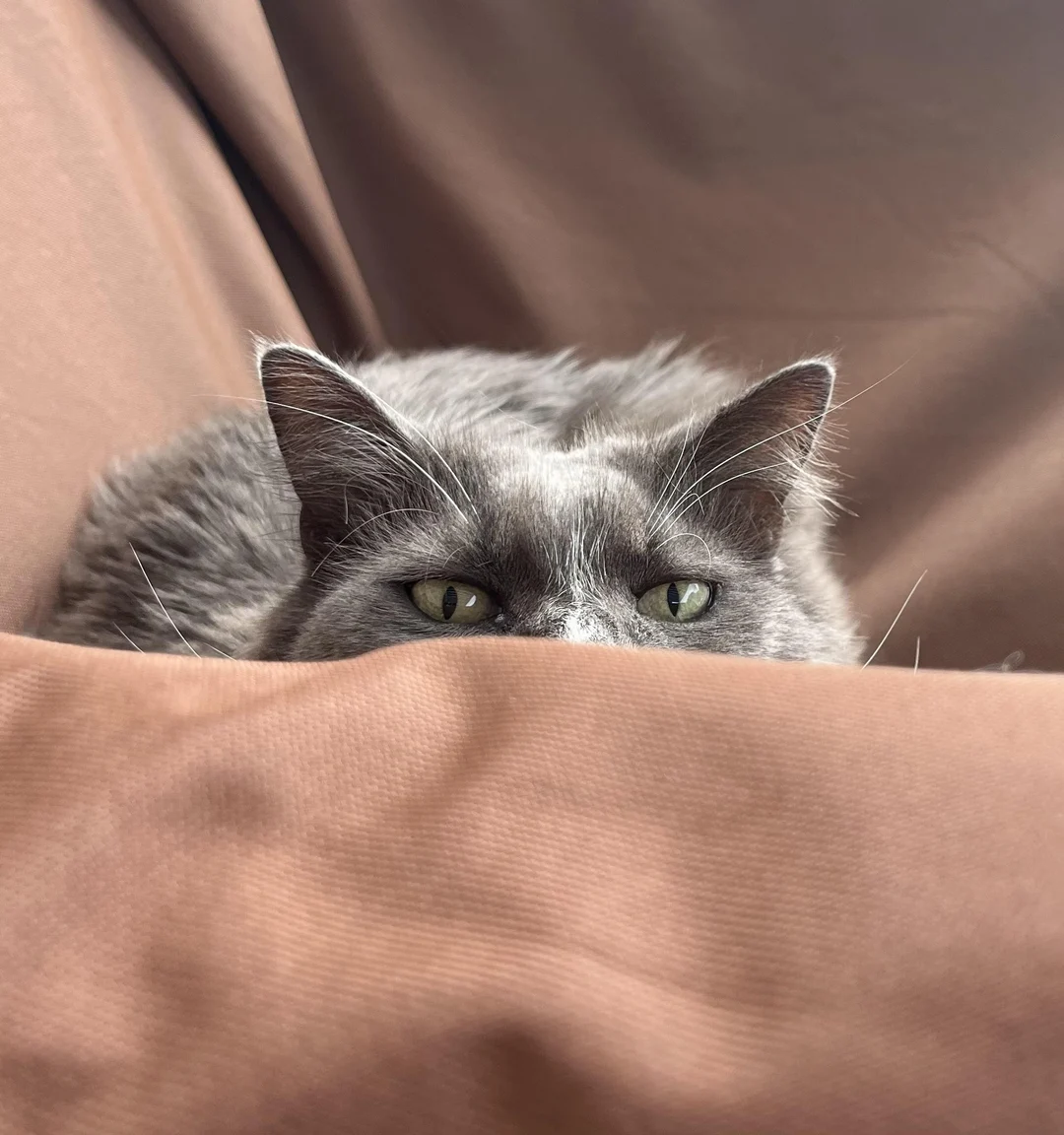 She’s plotting! | Scrolller