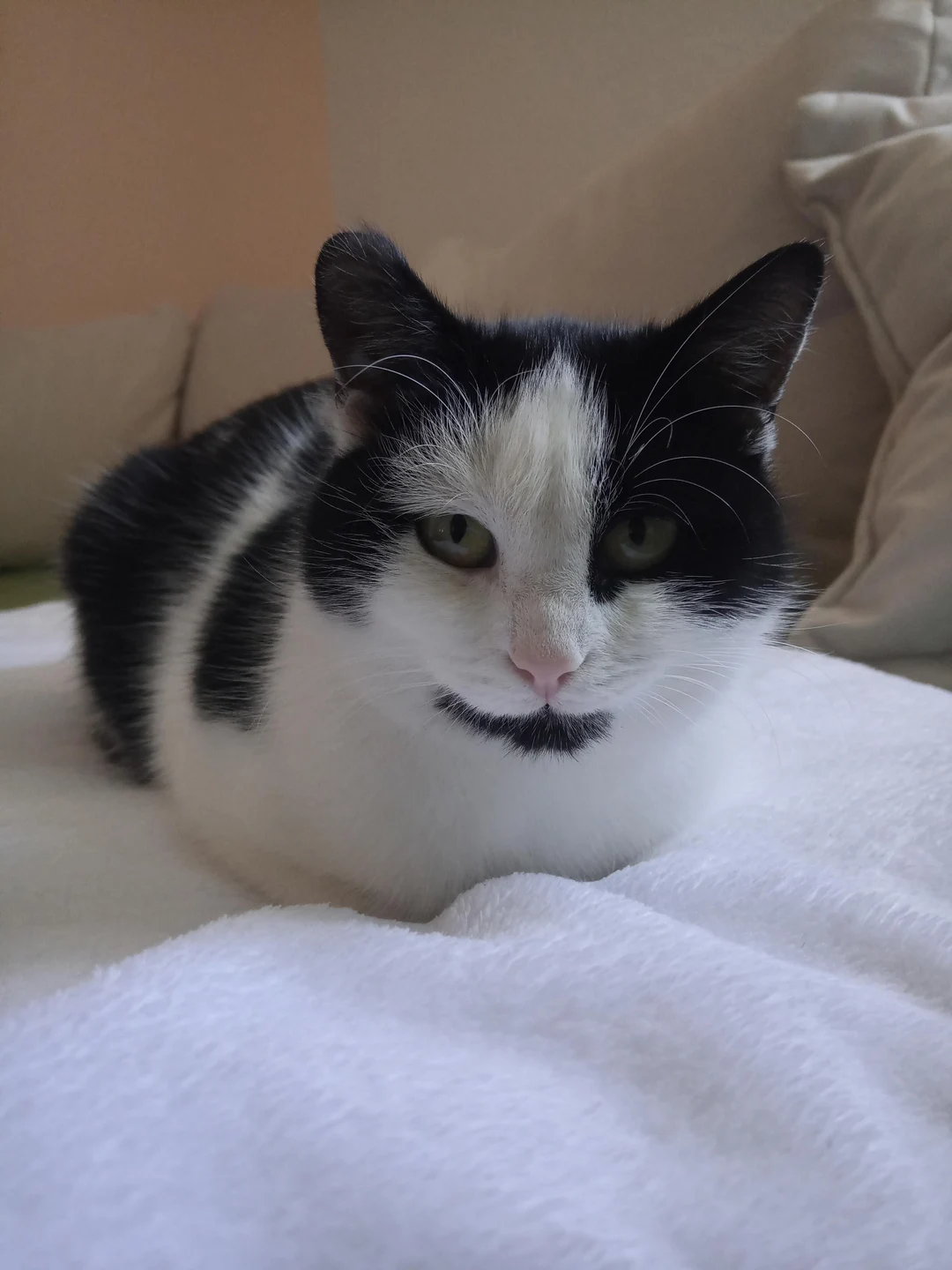 Friendly Loaf (: | Scrolller