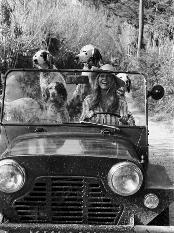 Brigitte Bardot, 1980 | Scrolller