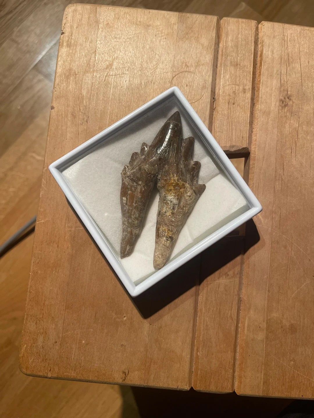 My precious | Scrolller