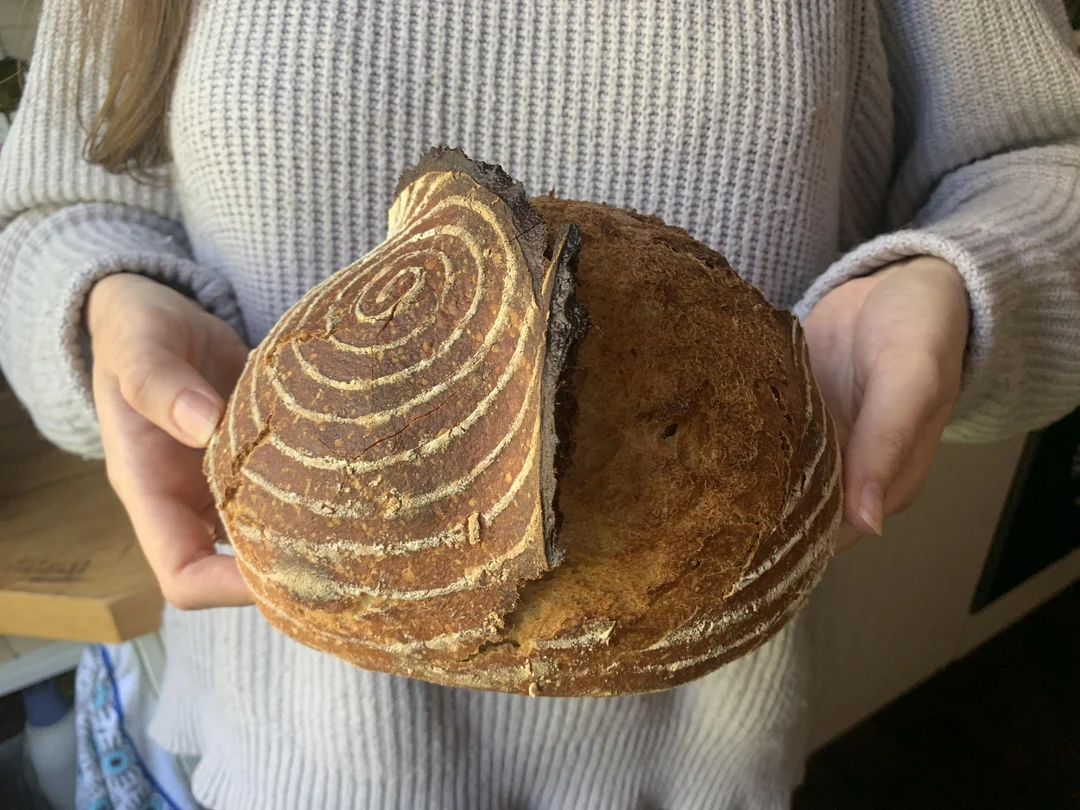 Finally managed to get a photogenic loaf | Scrolller