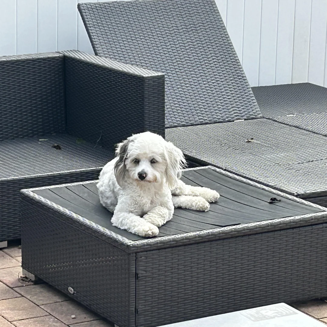 Contemplating Life… | Scrolller