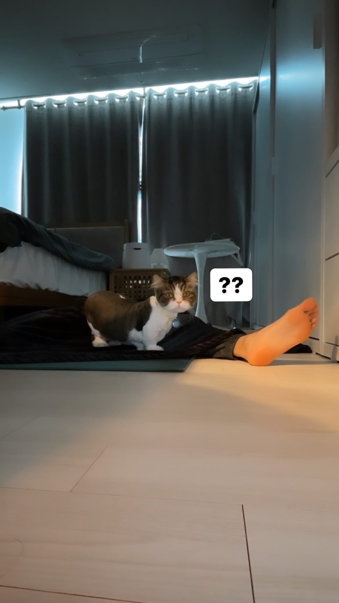 AOA - Yuna | Scrolller