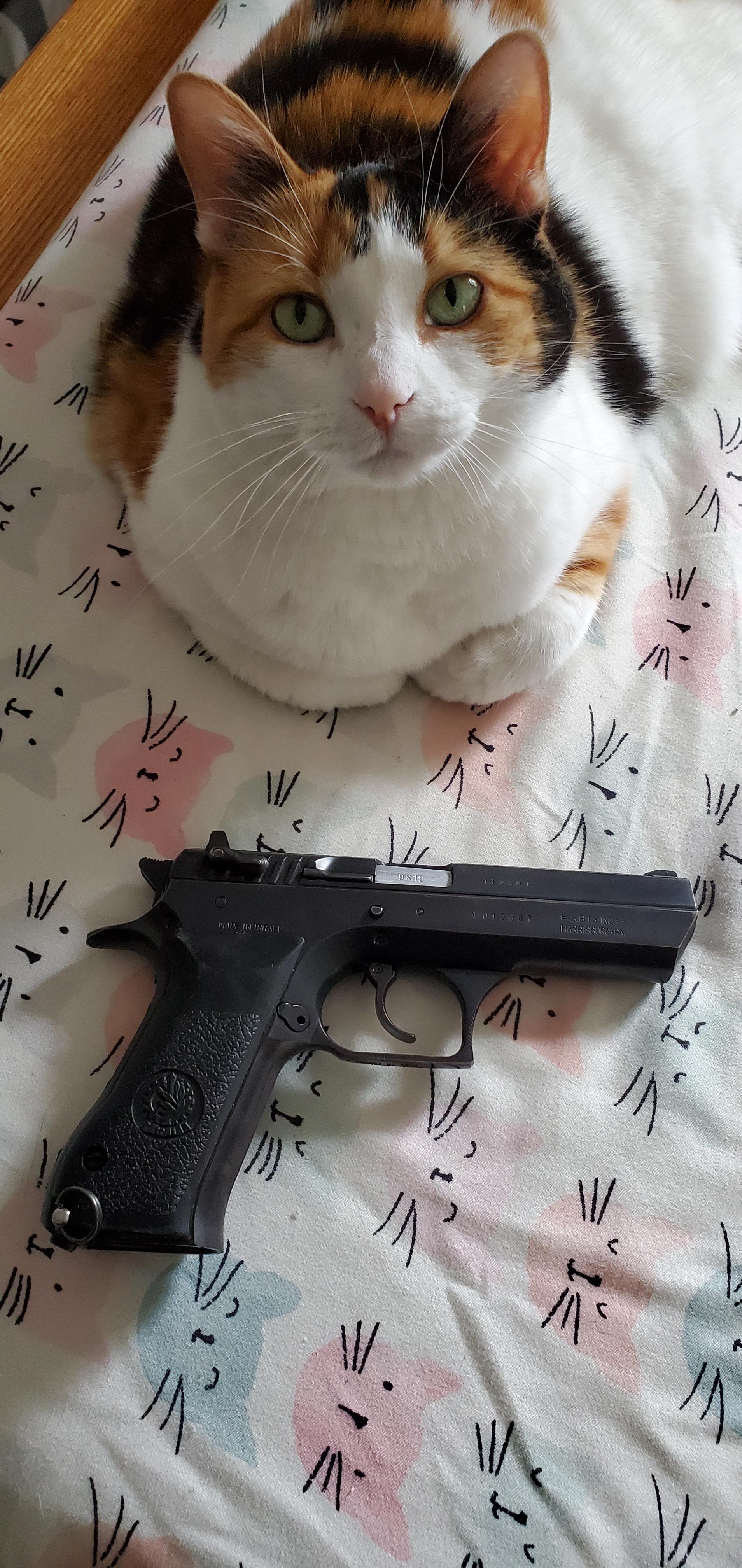 Space gat and a cat. Finally got my (obtainable) dream gun, Jericho 941R. | Scrolller