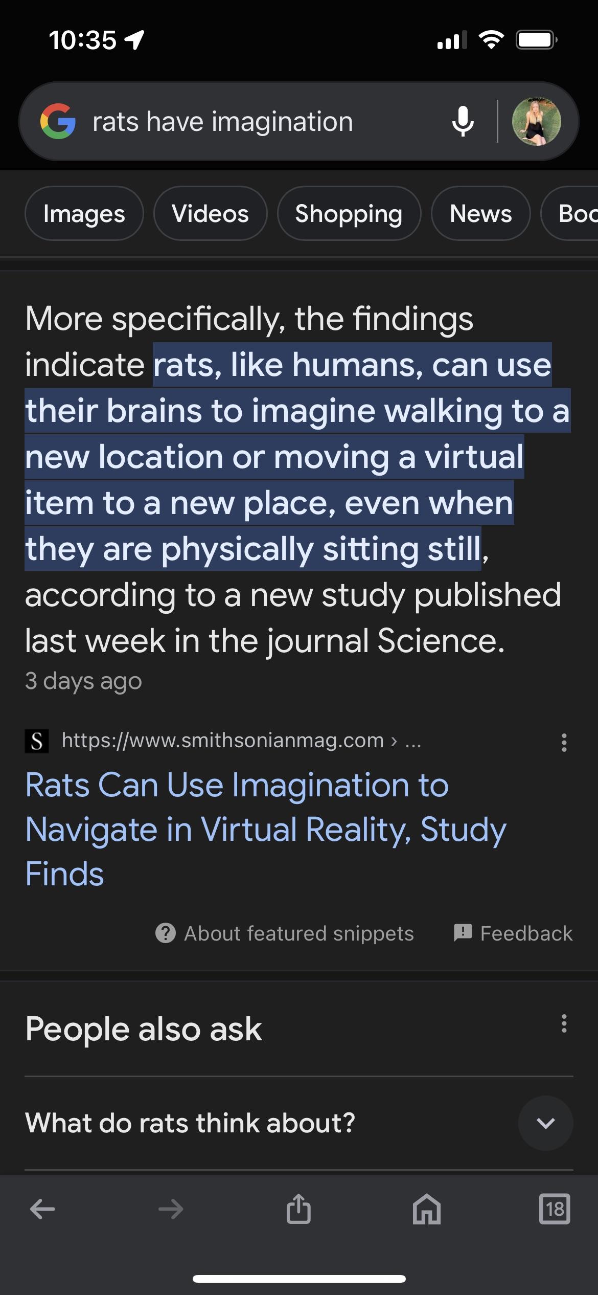 Study finds rats have imagination | Scrolller