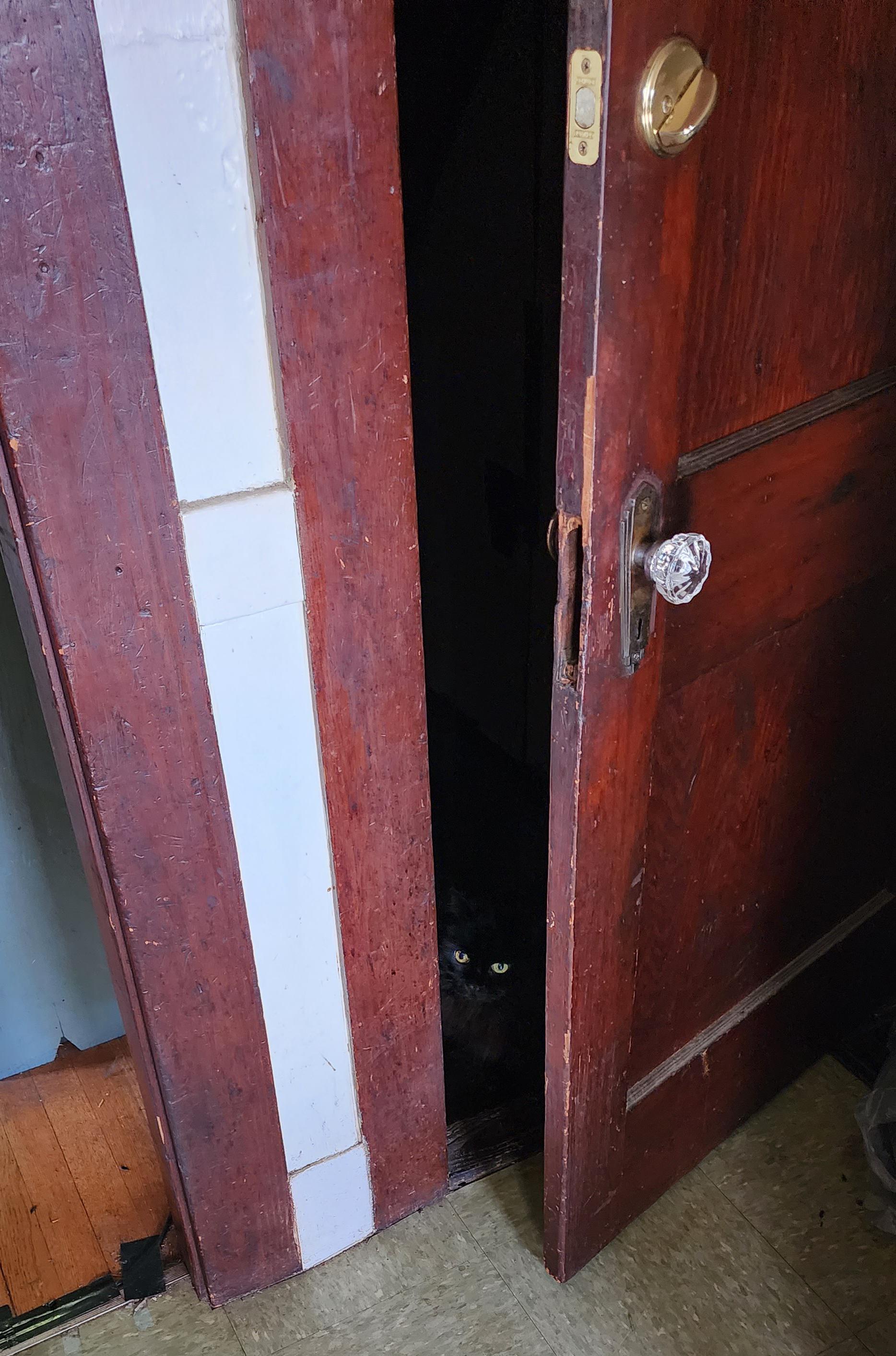 Our Basement Monster Came Up For Breakfast This Morning. | Scrolller