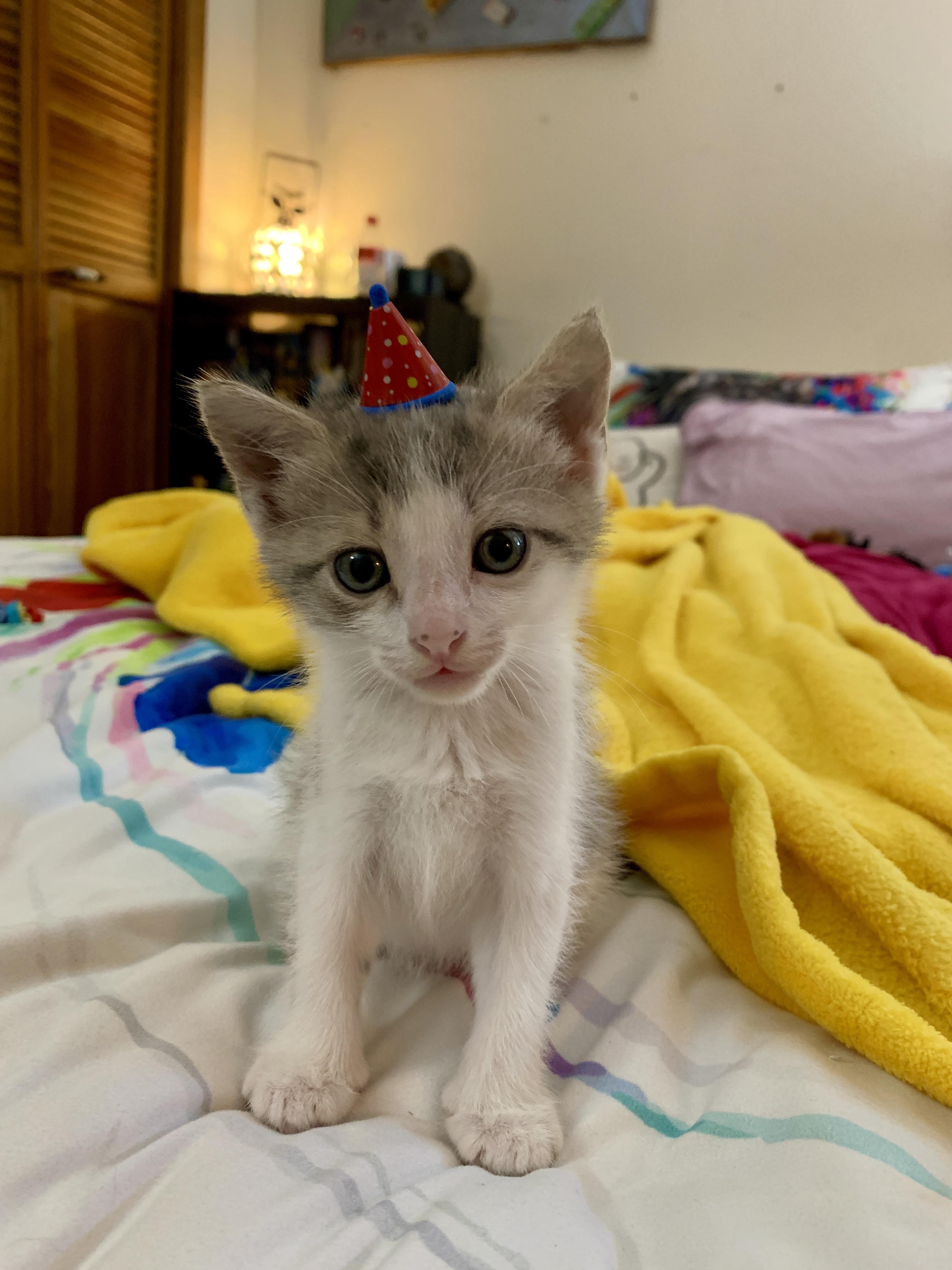 Butters is ready to party | Scrolller