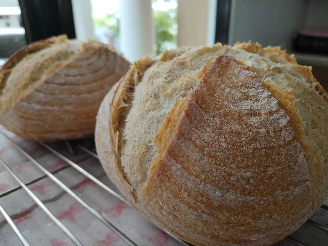 Sourdough | Scrolller