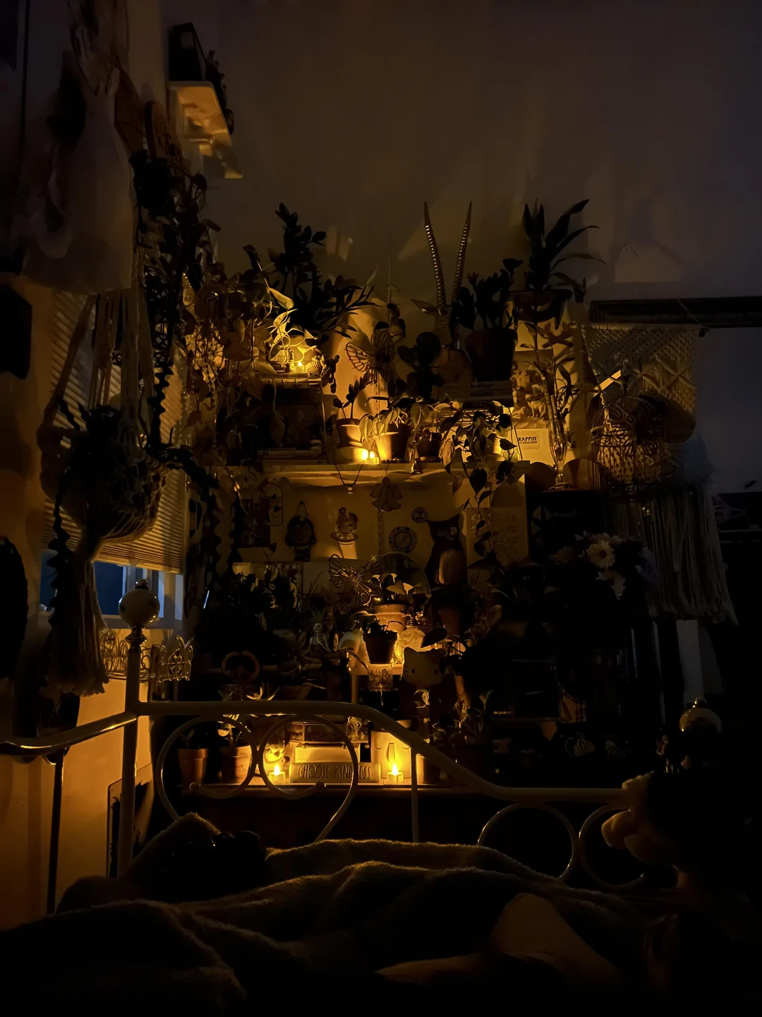 A few Dollar Tree battery tealights gives my plant corner an ethereal feel🕯️ | Scrolller