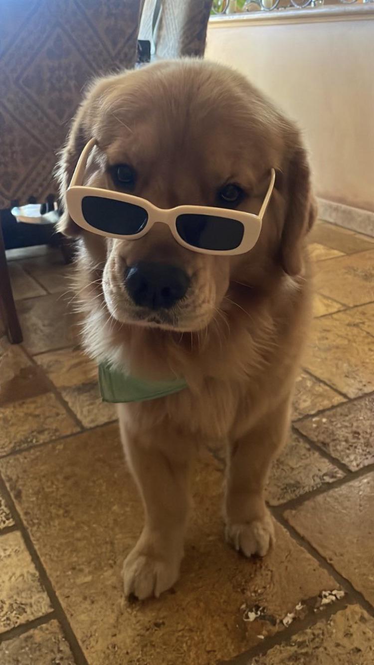 Cool customer | Scrolller