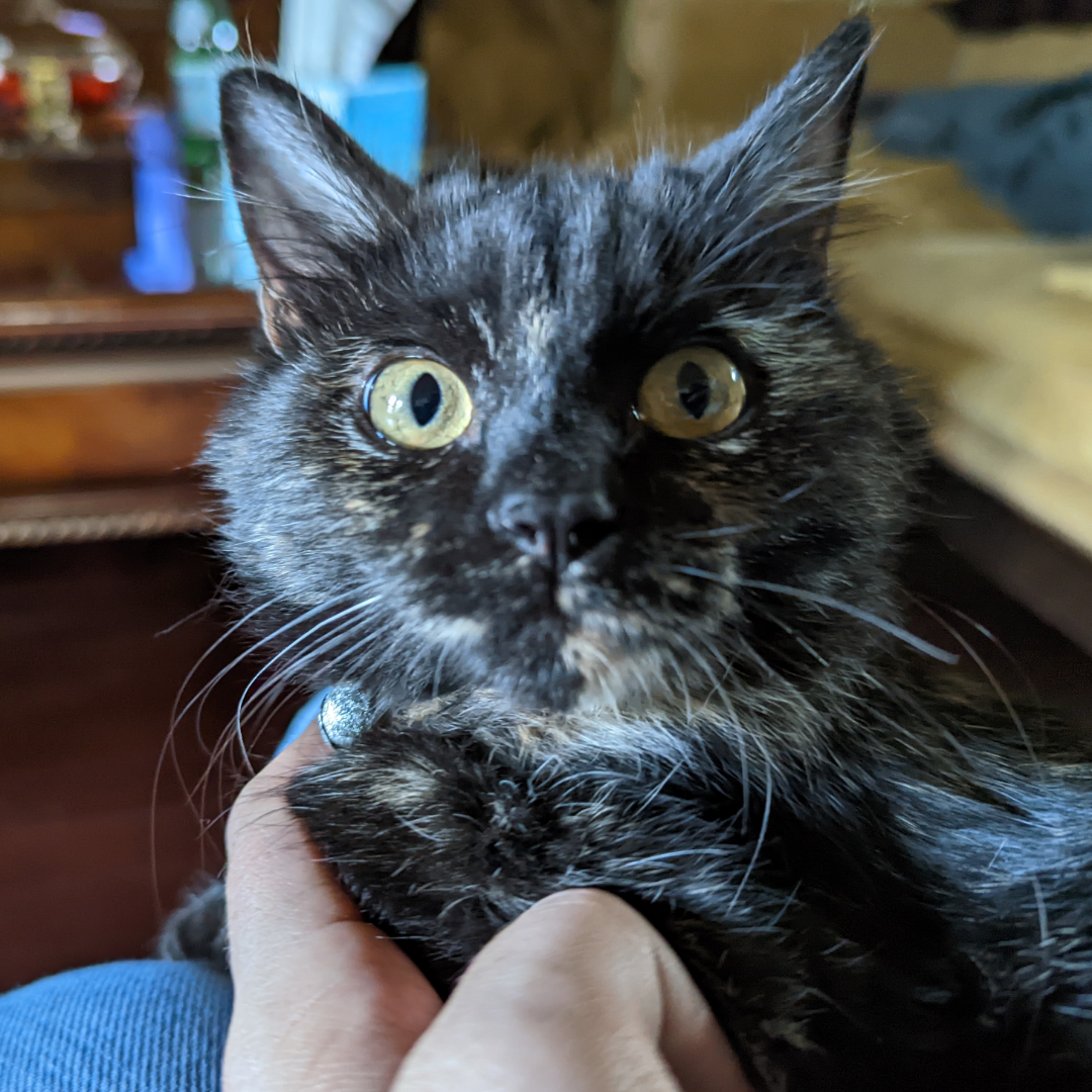 my honest reaction | Scrolller