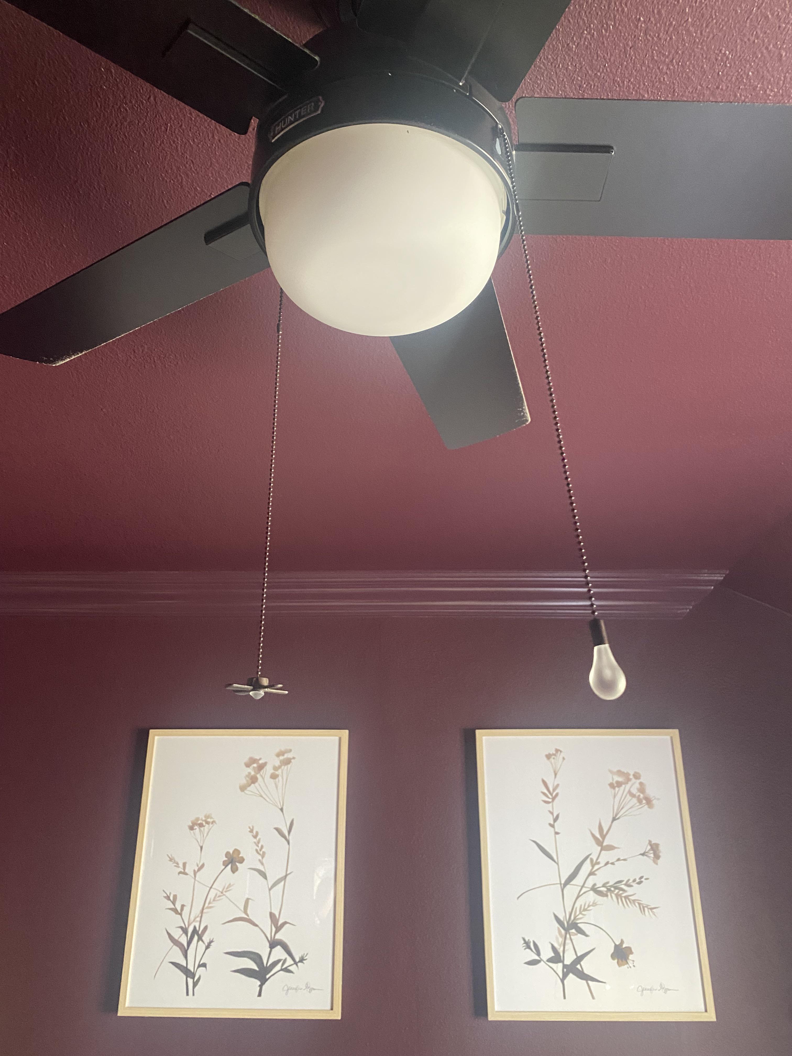 These pulls on this ceiling fan have a little light bulb and fan on them to tell them apart ...