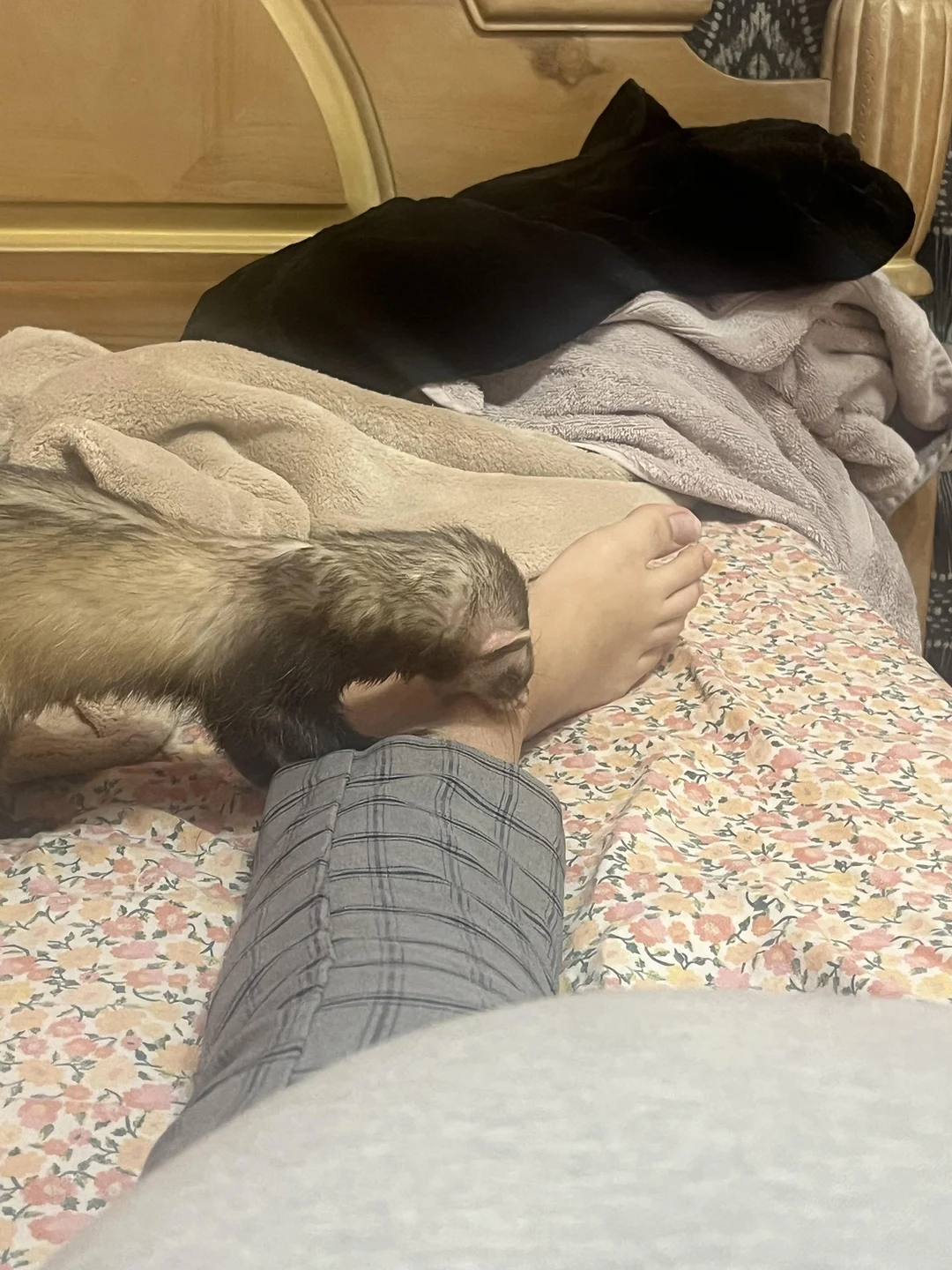 Why the ankles?! | Scrolller