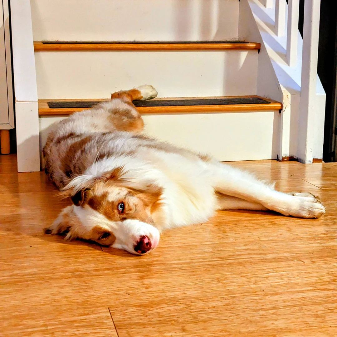 Comfy Scrolller