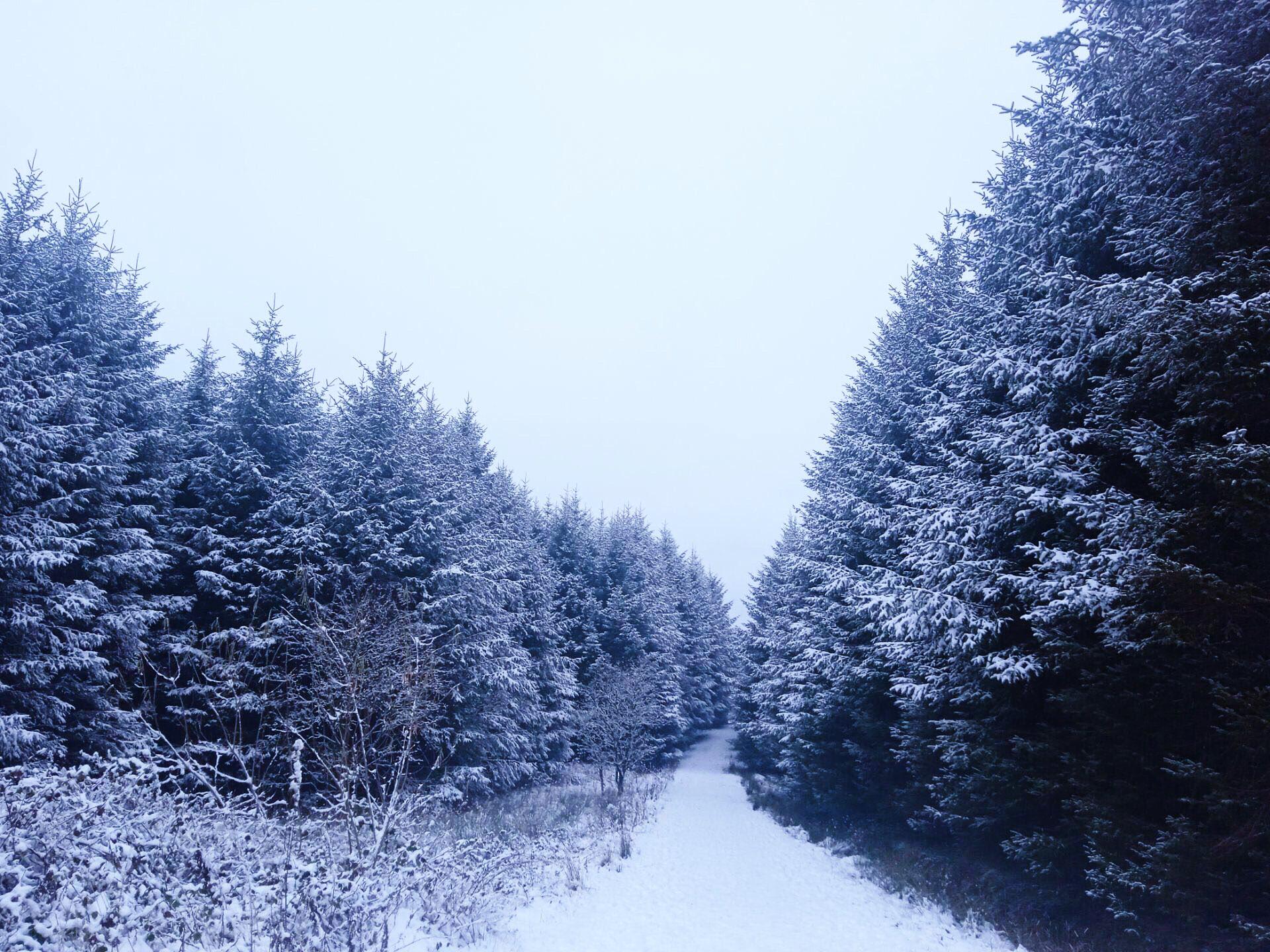 More snowy pathways | Scrolller