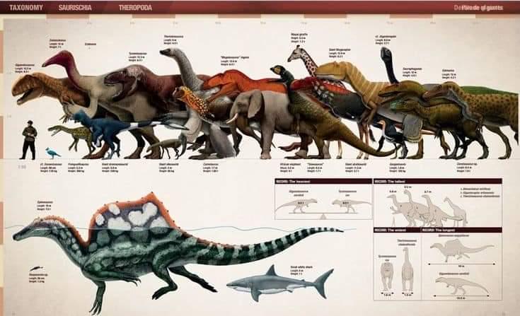 Dinosaurs | Scrolller