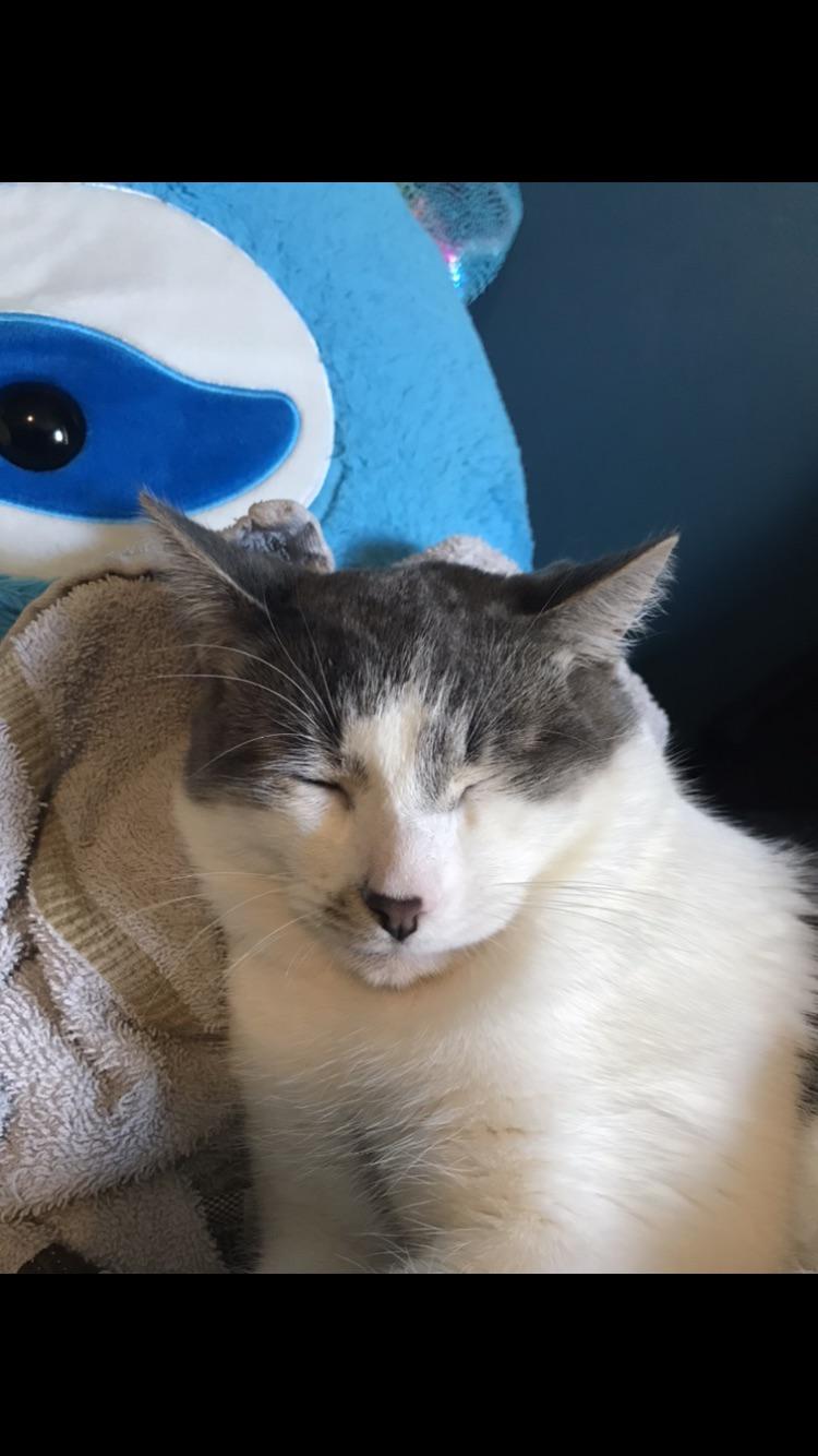 Must of been a good nap | Scrolller