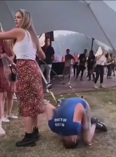 The armadillo effect | Scrolller