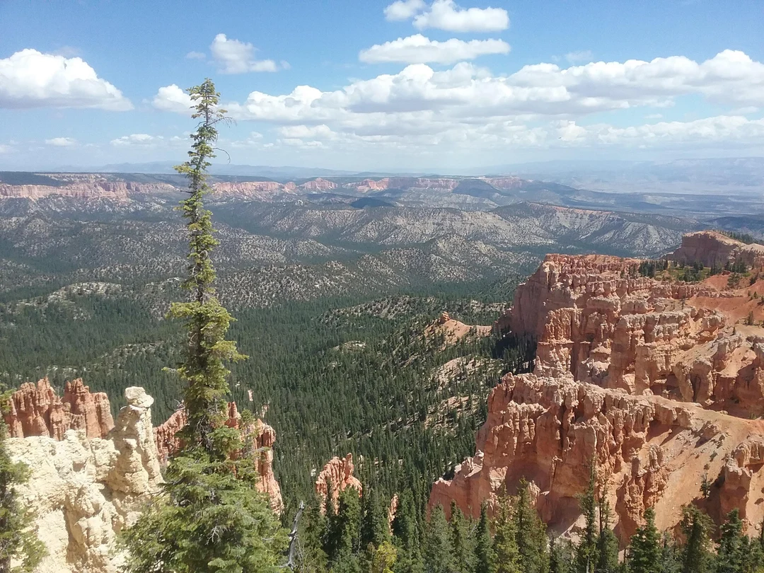 [OC] Bryce Canyon National Park, Utah. [2576x1932] | Scrolller