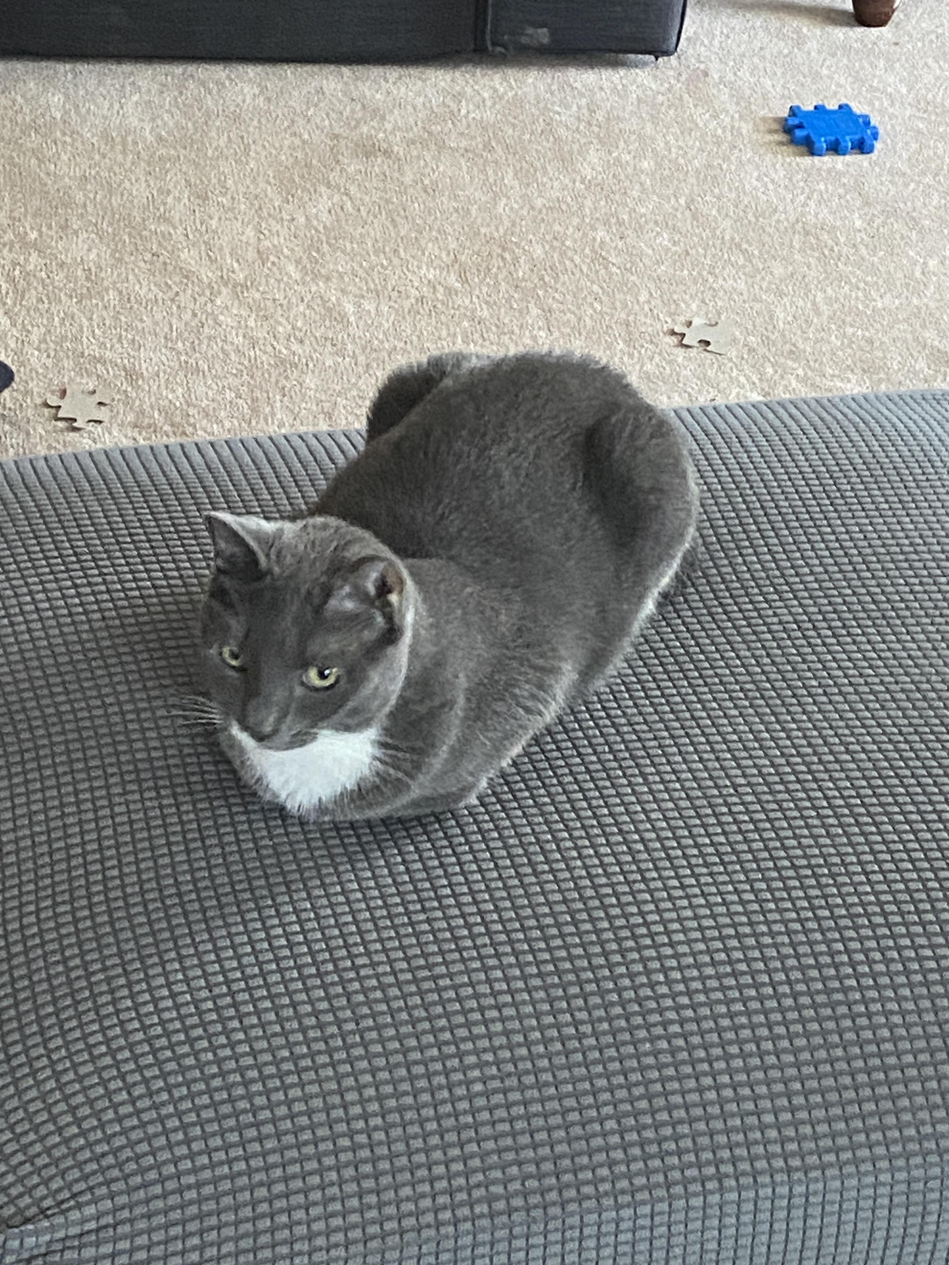 Ottoman loaf | Scrolller