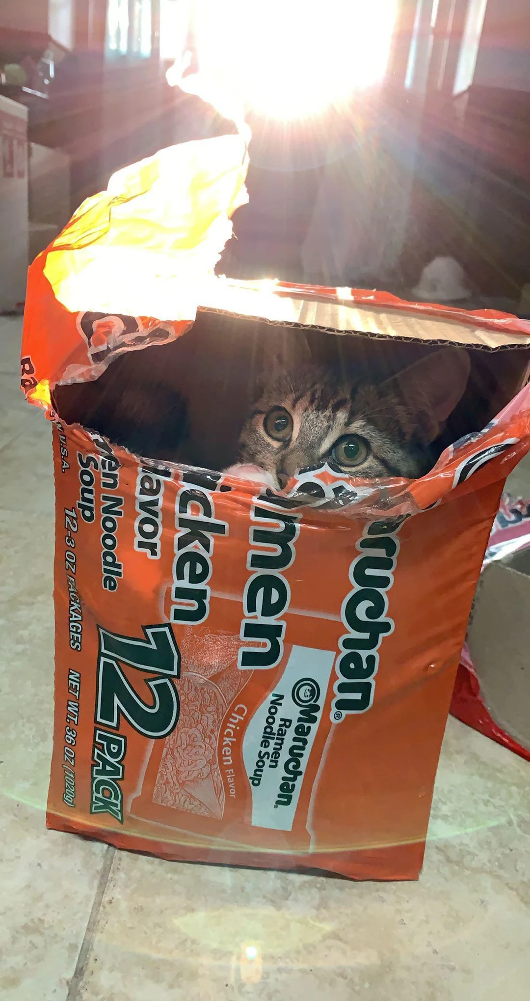 ramen anyone? | Scrolller