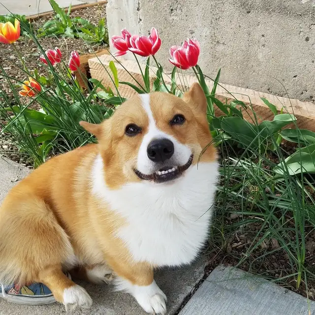 tired of smelling flowers | Scrolller