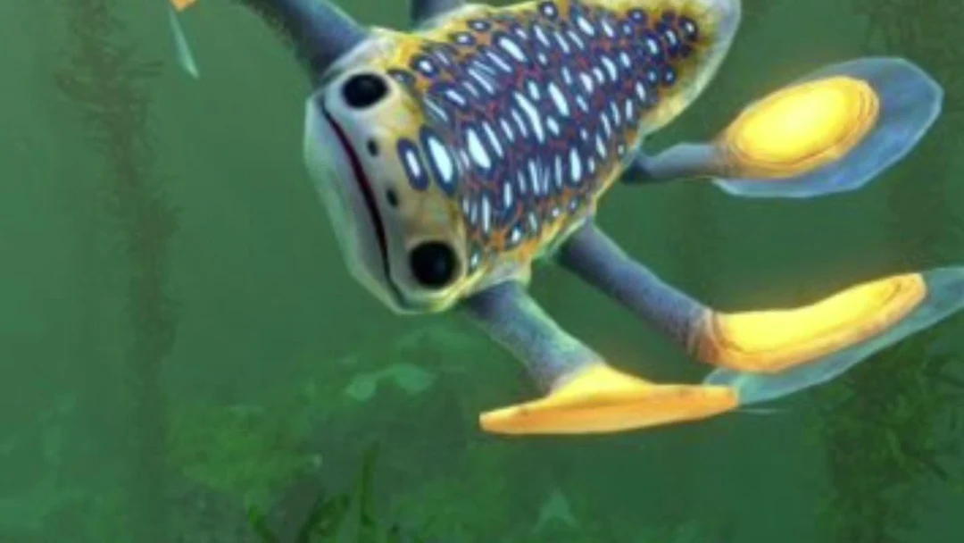 [no spoilers] my pet nugget | Scrolller