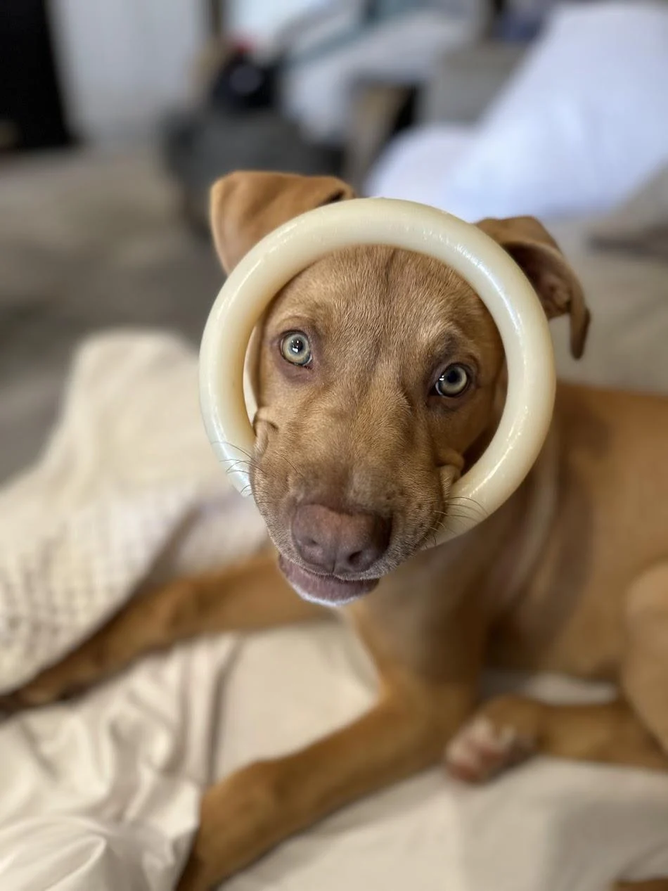 A 10, but he holds his chew like this... | Scrolller